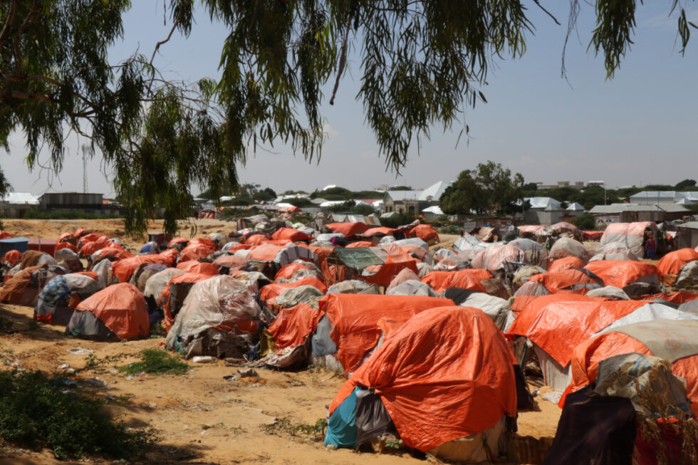 OUR PROJECTS | e4c.org